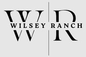 American Wagyu Beef Born, Raised and Harvested in Idaho - WILSEY RANCH